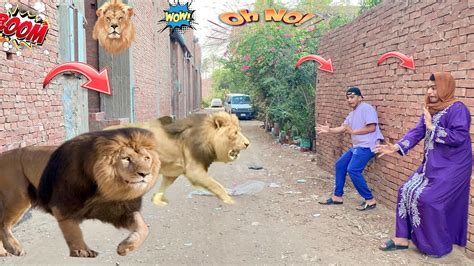 لما امك واخوك الصغير يطلع عليهم اسد 🐅في الشارع وياكلهم 😂😱عمر نصر ️