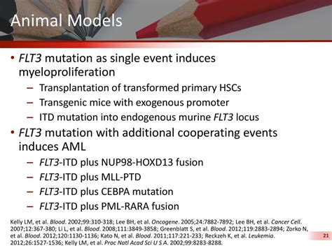 Taking A Personalized Approach To Aml Treatment Flt3 Inhibition Ppt Download
