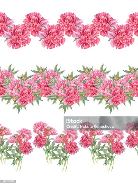 흰색 배경에 꽃다발 핑크 모란 여름 꽃과 완벽 한 테두리가 있는 수채화 세트 녹색 잎이 있는 손으로 그린 꽃 식물 테두리 결혼식 초대 축 하 프레임 벽지 또는 포장지 0명에