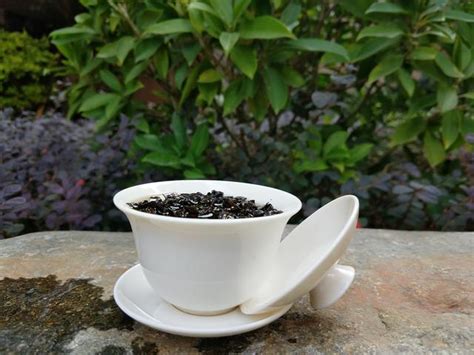 武夷山武夷岩茶 每日頭條