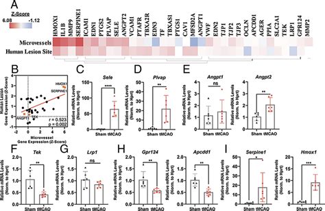 Validation Of Shared Transcriptomic Alterations In Targets Associated Download Scientific