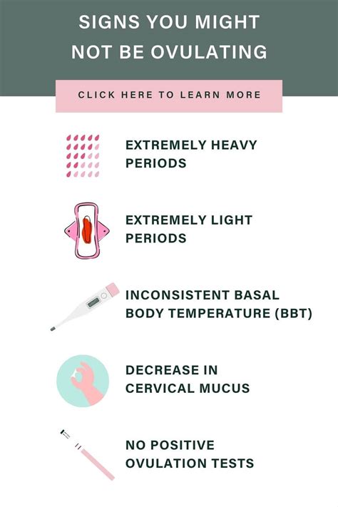Everything You Need To Know About Anovulation