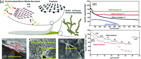 A Schematic Configuration Of A Li S Cell With A Fbng Interlayer B Download Scientific