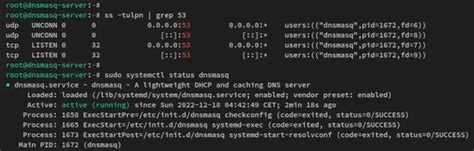 How To Set Up Local DNS With Dnsmasq On Debian 12