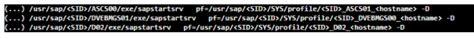 sap startup troubleshooting guide for netweaver application server