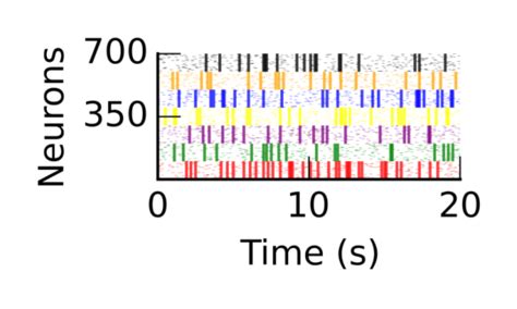 Correlated Inputs Generate Synaptic Clusters On Dendrites A And B A