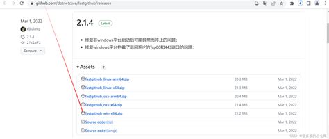 小工具推荐：fastgithub的下载及使用fastgithub下载 Csdn博客