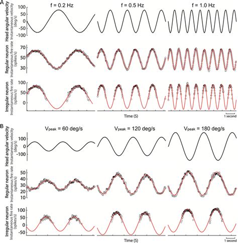 Description Of Neural Response Activity And Fitting Functions In Download Scientific Diagram