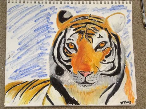 Been A While But Heres A Tiger Oc Imgur