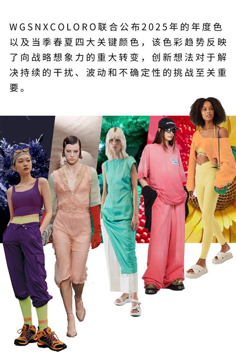 Wgsn × Coloro 2025年度色彩及春夏四大关键色