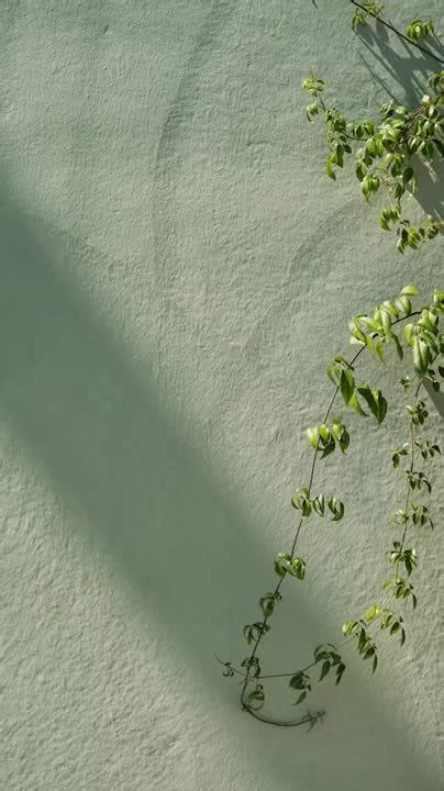 Why Sauerkraut Is A Superfood Ft Nikhil Nandakumar Posted On The Topic Linkedin