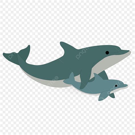 돌고래 일러스트 돌고래 클립 아트 돌고래 엄마가 날 Png 일러스트 및 Psd 이미지 무료 다운로드 Pngtree
