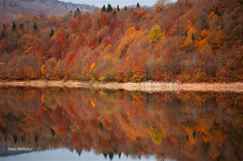 რაჭის ტური ცხრაჯვარზე ლაშქრობა🍂შაორის ტბა🍁 ნიკორწმინდა ბარაკონი 🍂🍁