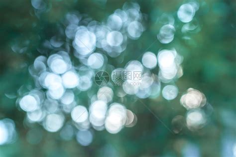 自然的绿色背景模糊的场景高清图片下载 正版图片 摄图网