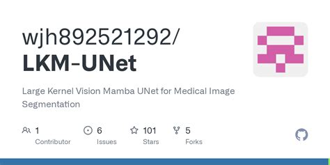 LKM UNet Lkmunet Nnunetv2 Nets LKMUNet Py At Main Wjh892521292 LKM UNet GitHub