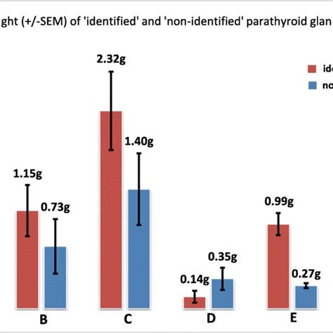 Mean Weight Of ‘identified And ‘non Identified Glands By Perrier