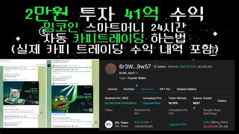 2만원 투자 41억 수익내는 밈코인 스마트머니 24시간자동 카피트레이딩 하는법실제 카피 트레이딩 수익 내역 포함 Youtube