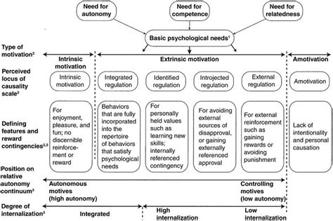 An Overview Of The Sdt Framework Adopted From Ryan And Deci 2000 Download Scientific Diagram
