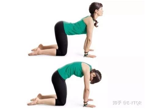 瑜伽体式猫牛式详解 女性的好朋友 知乎