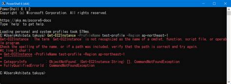 Powershell Coreでawspowershellnetcoreモジュールが自動ロードされない問題と回避策について Developersio