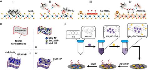 Nanocomposite‐based Electrochemical Sensors A The Functioning