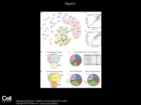 Volume Issue Pages January Ppt Download