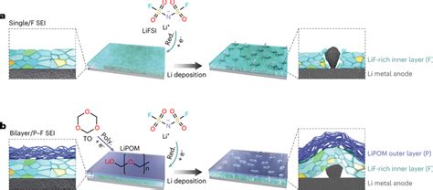 Schematic Diagram Of The Structural Evolution Of Single Layer And Download Scientific Diagram