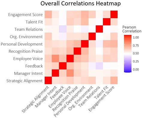 Mindset Flow Work Survey Data Reliability Analysis
