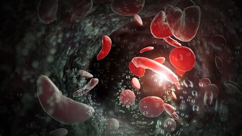 BBC World Service CrowdScience Do Plants Talk About Sex How Trees Secretly Talk To Each Other