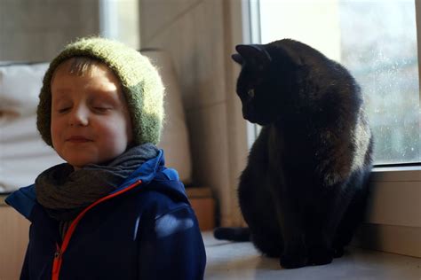 franek w schronisku czyli dlaczego warto adoptowac doroslego kota kot i małgorzata