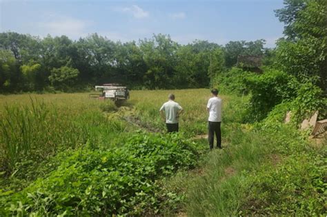 邵东市开展夏季农机跨区作业安全生产隐患大排查 中国网