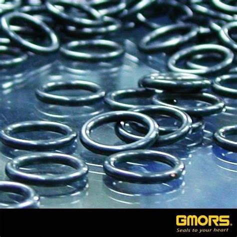 Nace Tm0297 Rapid Gas Decompression Seals At Rs 40 Piece O Rings In New Delhi Id 2854319788048