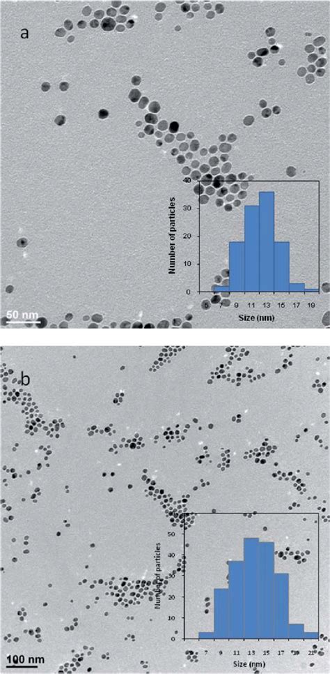 Particle Size Distribution Histogram Obtained By Hrtem Images