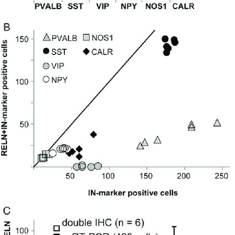 Detection Of Reln And In Marker Co Localization By Double Download