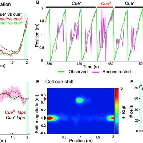 Effects Of Cue Manipulation On Spatial Encoding A Pv Correlations For