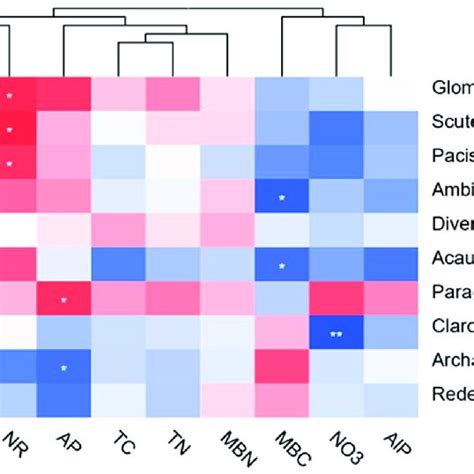 Heatmap Analysis Of The Relationships Between The Amf Genera And