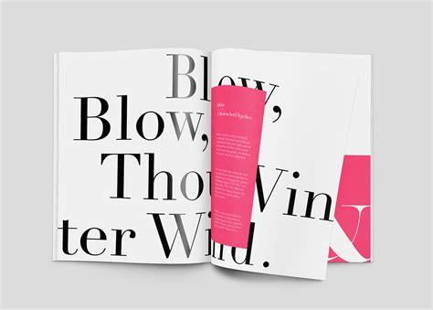 Didot Type Specimen On Behance