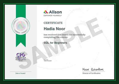 completed sql certification with strong skills hadia noor posted on