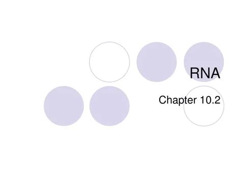 PPT RNA PowerPoint Presentation Free Download ID