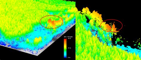 LiDAR Derived Canopy Height Model Practical Tips In Implementing Use Interpine Innovation