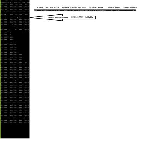 Why Does My Vcf Contain A Genotype When There Are No Reads Supporting