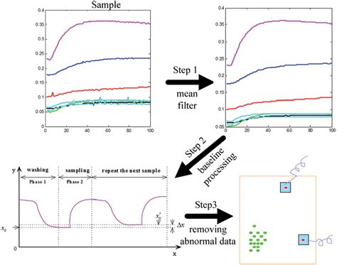 Key Steps Of The Pre Processing Procedure Download Scientific Diagram