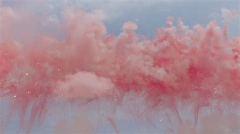A ‘fight Between Control And Utter Freedom Artist Cai Guo Qiang Reflects On His Mind Blowing