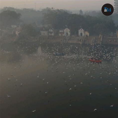 Najmus Saqib On Linkedin Hindu Delhi Muslim Yamuna Marriage