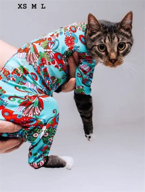 Mungo The Cat On Tumblr