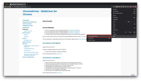Python 크롤링으로 업무 자동화 크롬 드라이버 인스턴스 생성 Margurt s Blog
