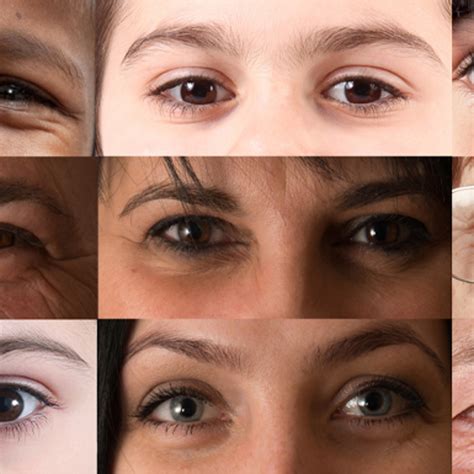 Different Eye Colors In Humans Most Common Eye Colors What Percentage
