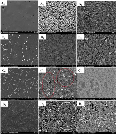 Figure 2 From The Structural Thermal And Morphological Characterization Of Polylactic AcidΒ