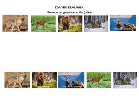 220800 Ζώα υπό εξαφάνιση Andreoueleni2