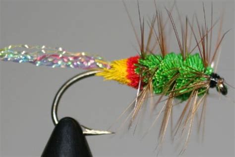 Atlantic Salmon Files Buck Bug Magic Tips And Insights